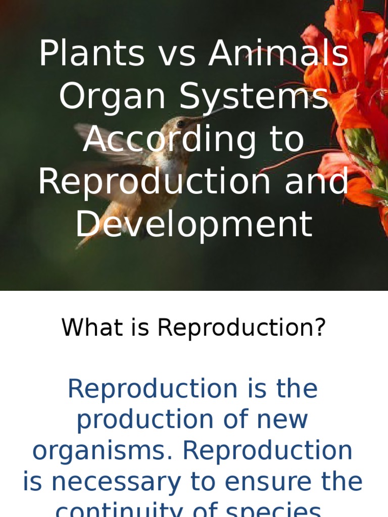 Plant and Animal Reproductive Systems | PDF | Sexual Reproduction | Sex