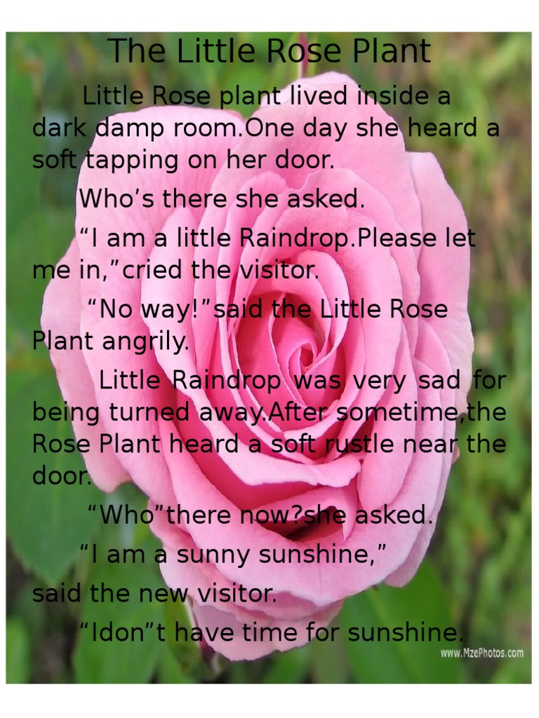 The Little Rose Plant's Lesson | PDF | Home & Garden | Poetry