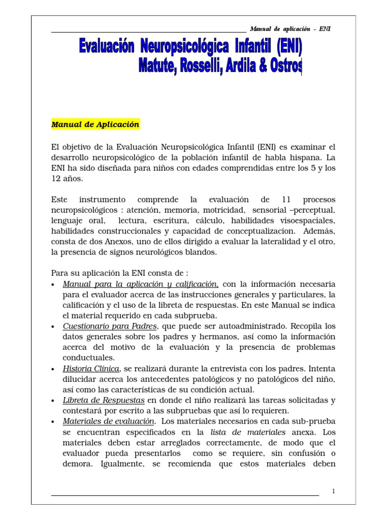 Manual ENI | Descargar gratis PDF | Fotografía aérea | Memoria