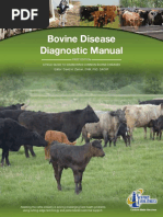 Cilinical Examination of Sheep& Goat | PDF | Sheep | Physical Examination