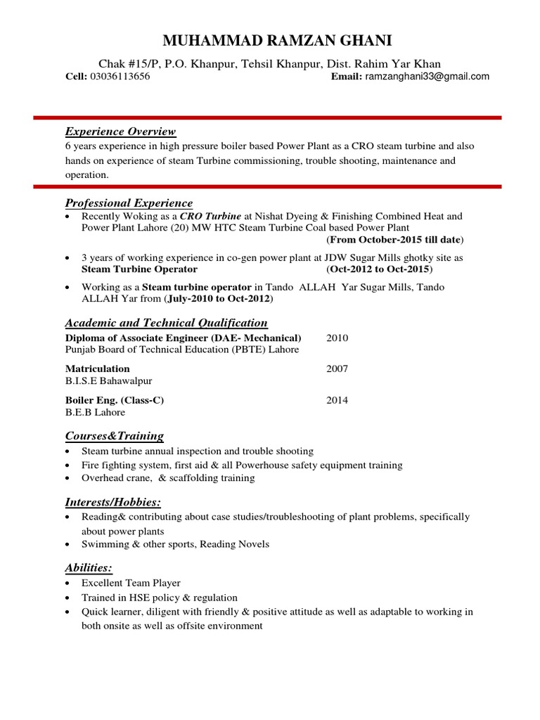 Ramzan CV | PDF | Technology & Engineering
