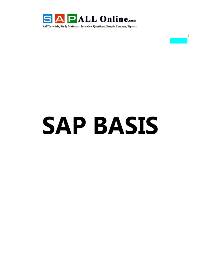 Sap Basis | PDF | Oracle Database | Operating System