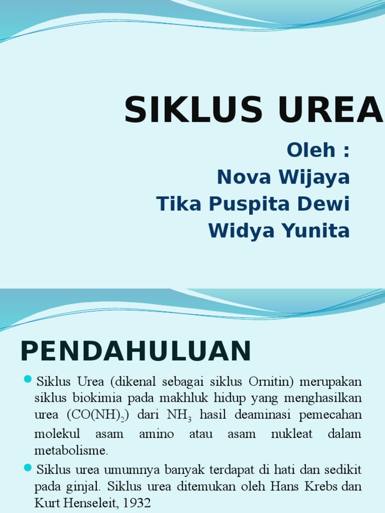 Siklus Urea | PDF