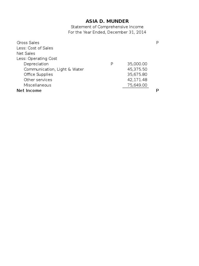 Asia D. Munder: Net Income P | PDF