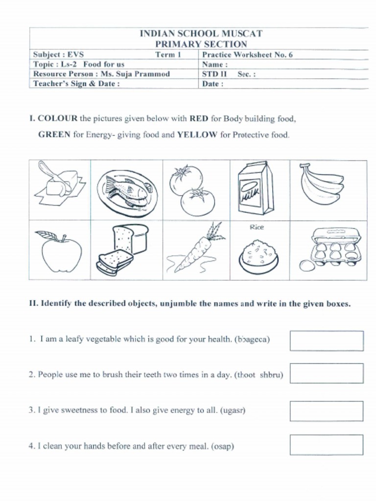 Class II EVS Worksheet 6 | PDF