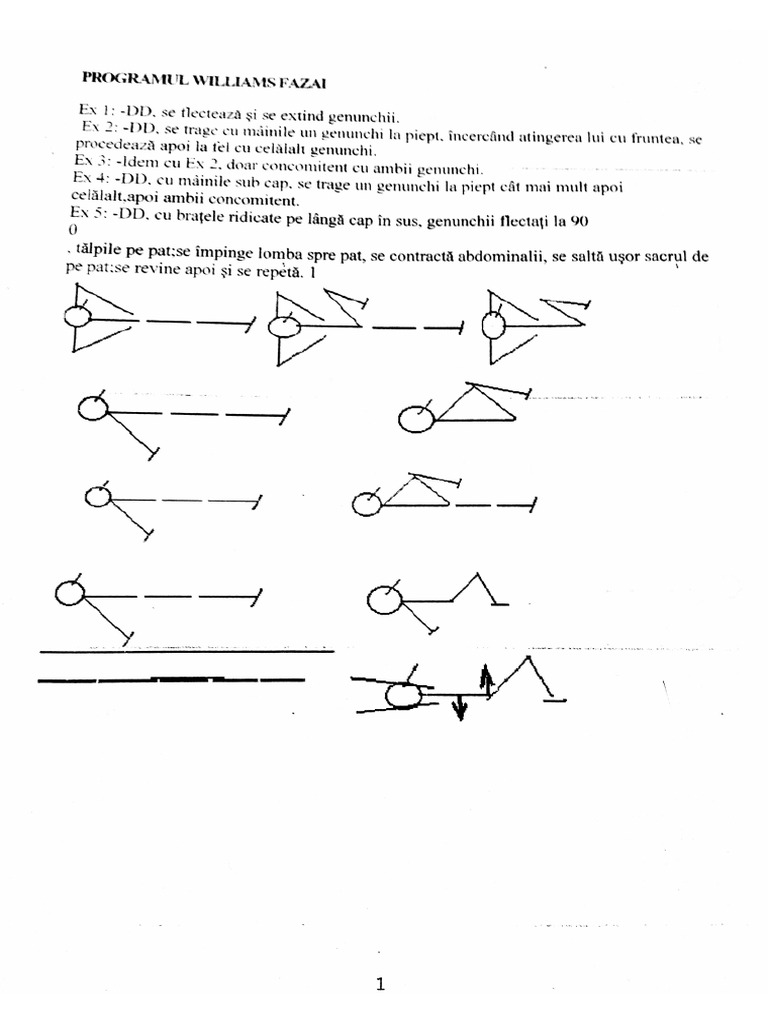 Programul Williams PDF | PDF