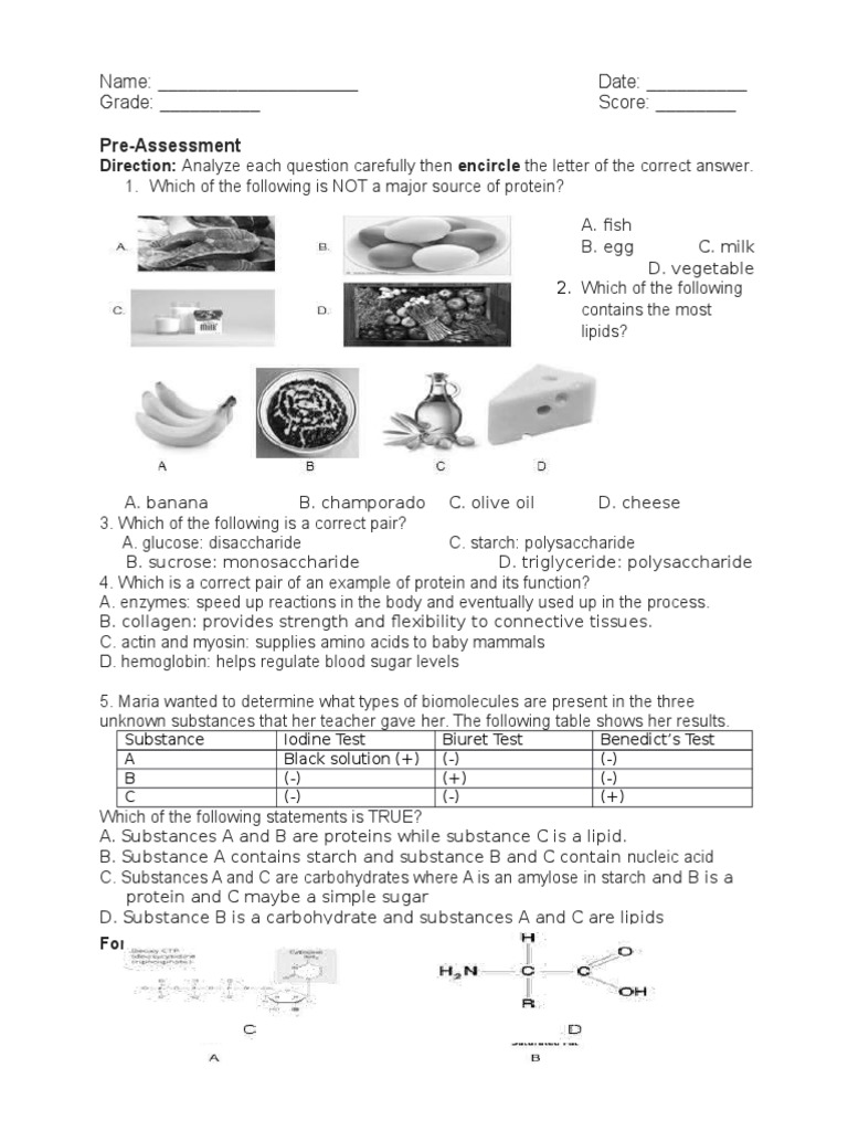 Biomolecules Grade 10 | PDF