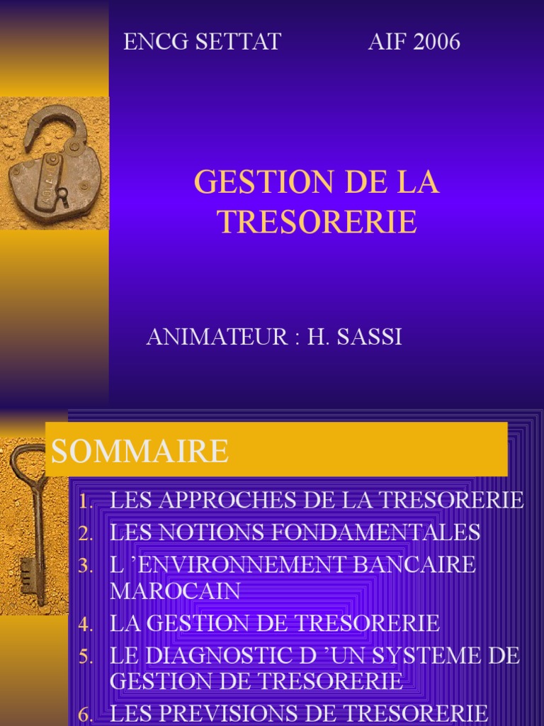 Gestion de Tresorerie | PDF