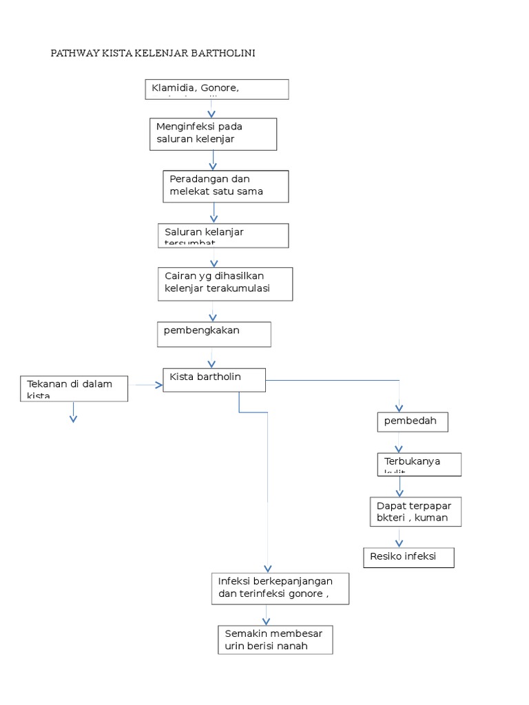 Pathway Kista Kelenjar Bartholini | PDF