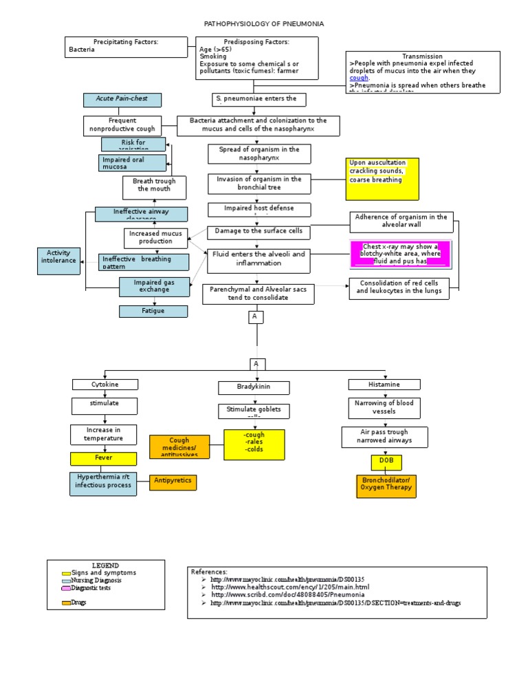 Pathophysiology of Pneumonia | PDF | Pneumonia | Respiratory Tract