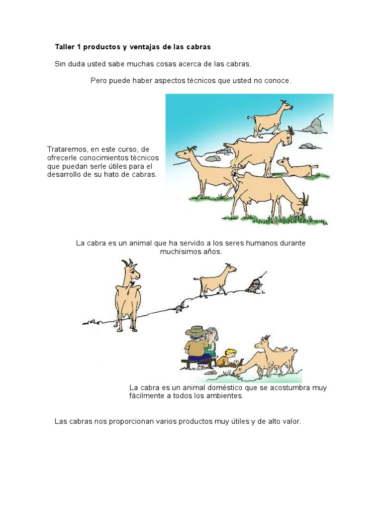 Ventajas y productos de las cabras | PDF | Cabra | Heno