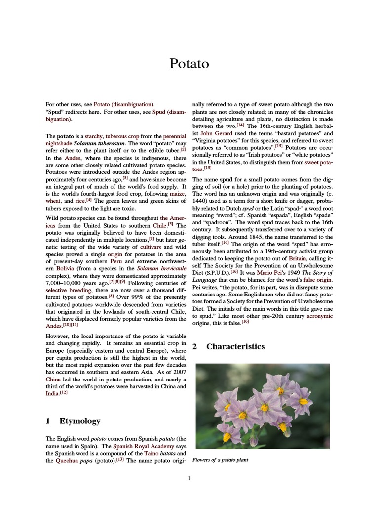 The Origin of The Potato | PDF | Potato | Food And Drink