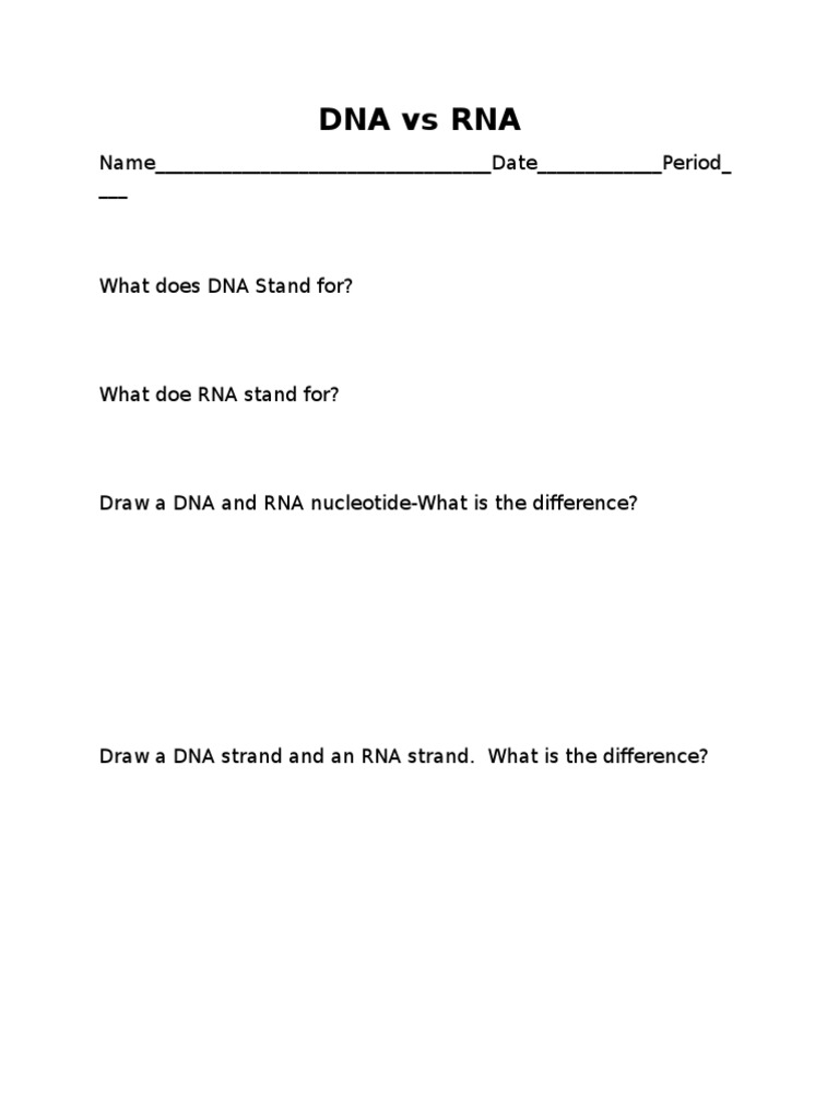 DNA and RNA Comparison Worksheet | PDF | Teaching Methods & Materials ...