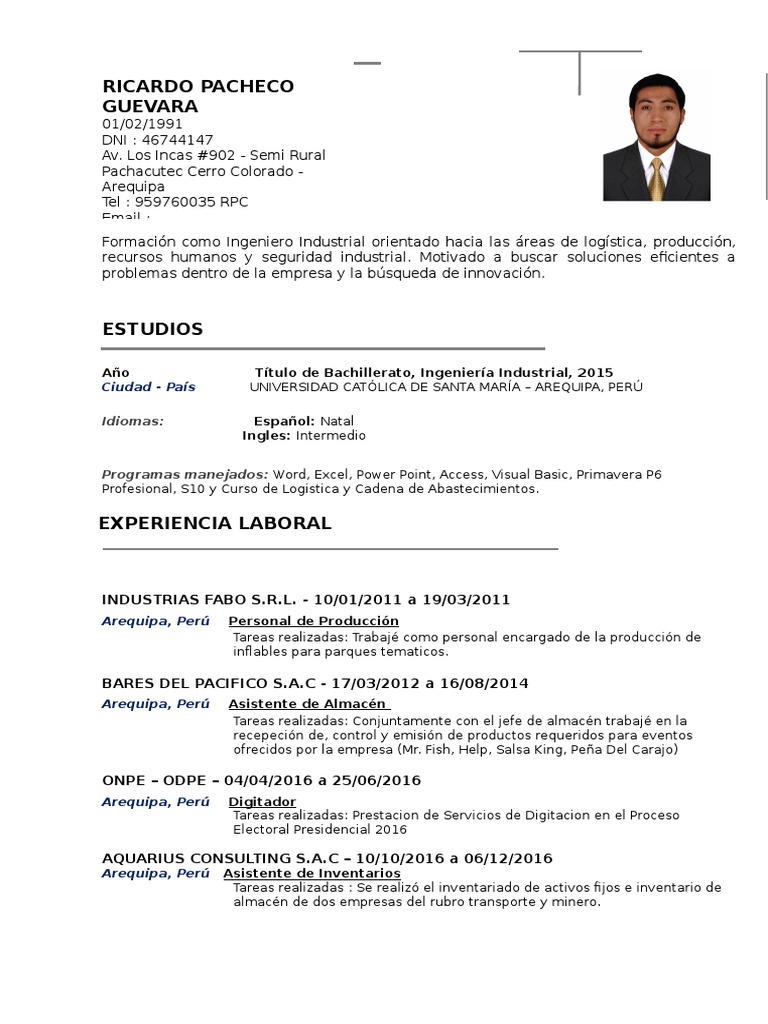 Curriculum Vitae Ricardo Pacheco | PDF
