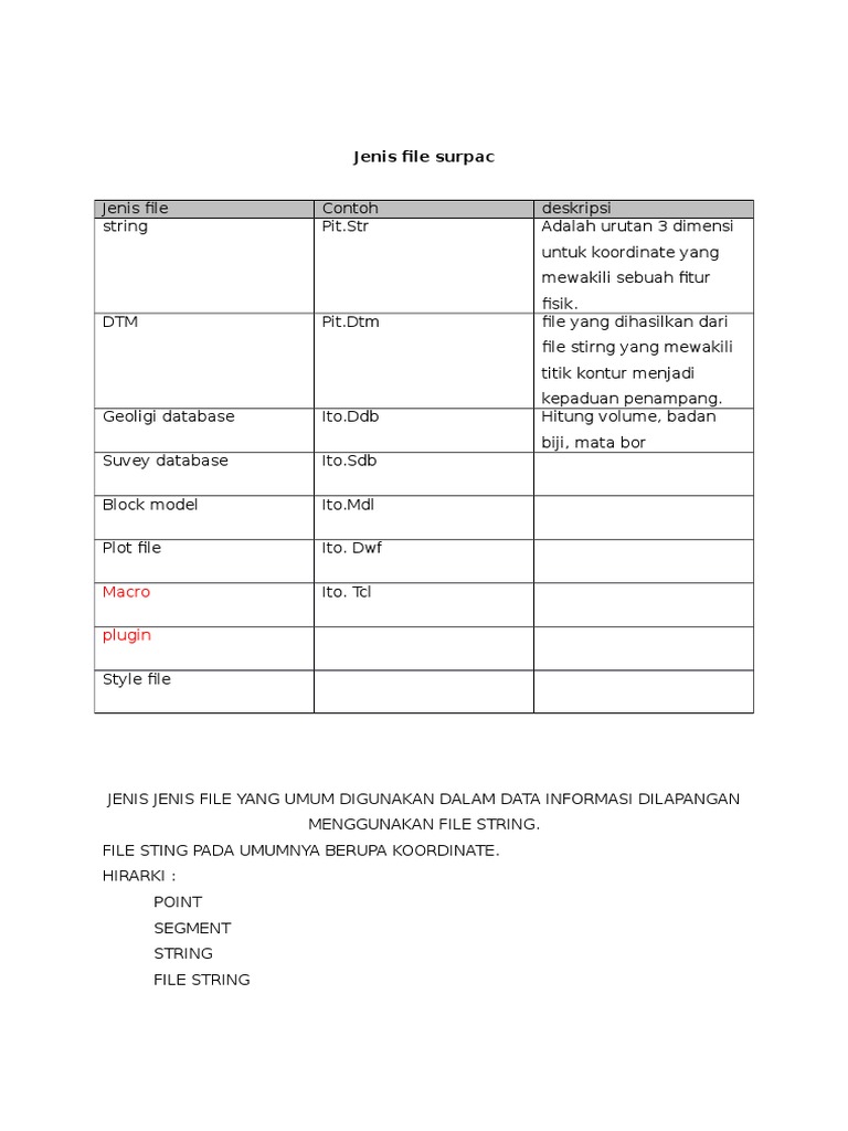 Jenis File Surpac | PDF