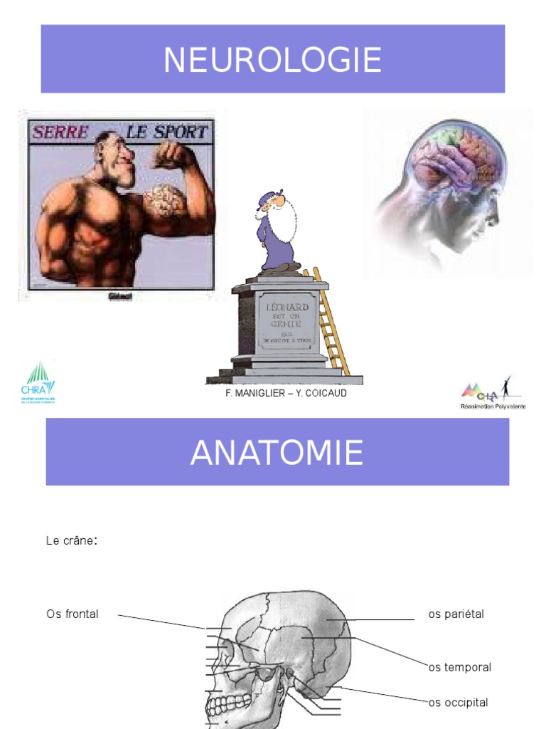 Neurologie Prezentare | PDF | Liquide cérébro-spinal | Nerf