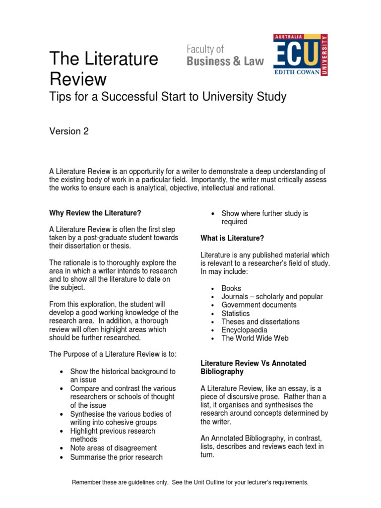 The Literature Review | PDF | Literature Review | Thesis