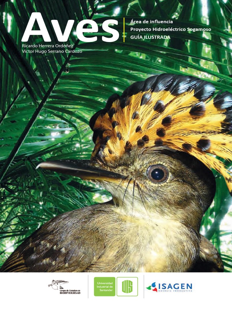 guia-ilustrada-de-aves.pdf | Paravianos | Aves | Prueba gratuita de 30 días | Scribd