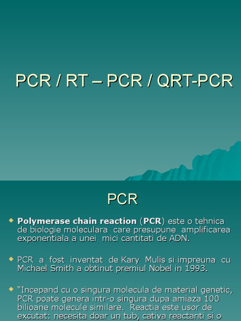 RT PCR | PDF