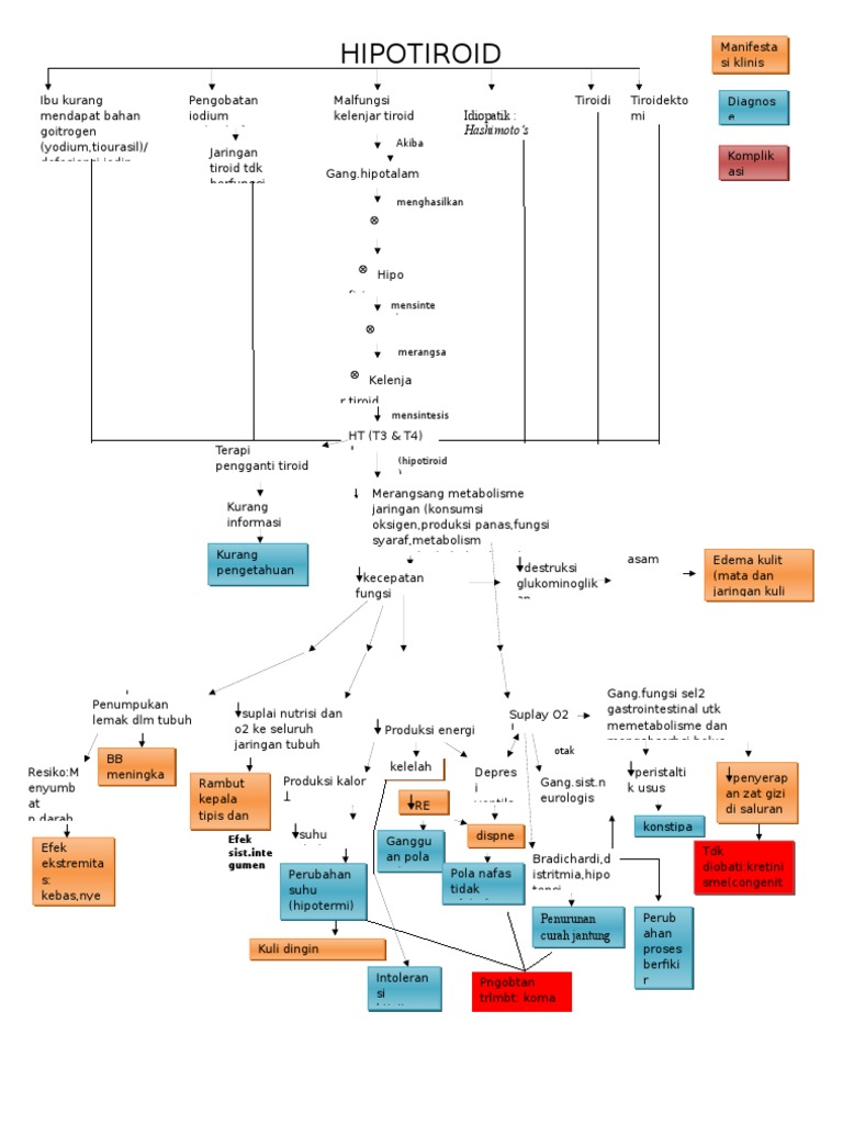 Patofisiologi dan Terapi Hipotiroid | PDF