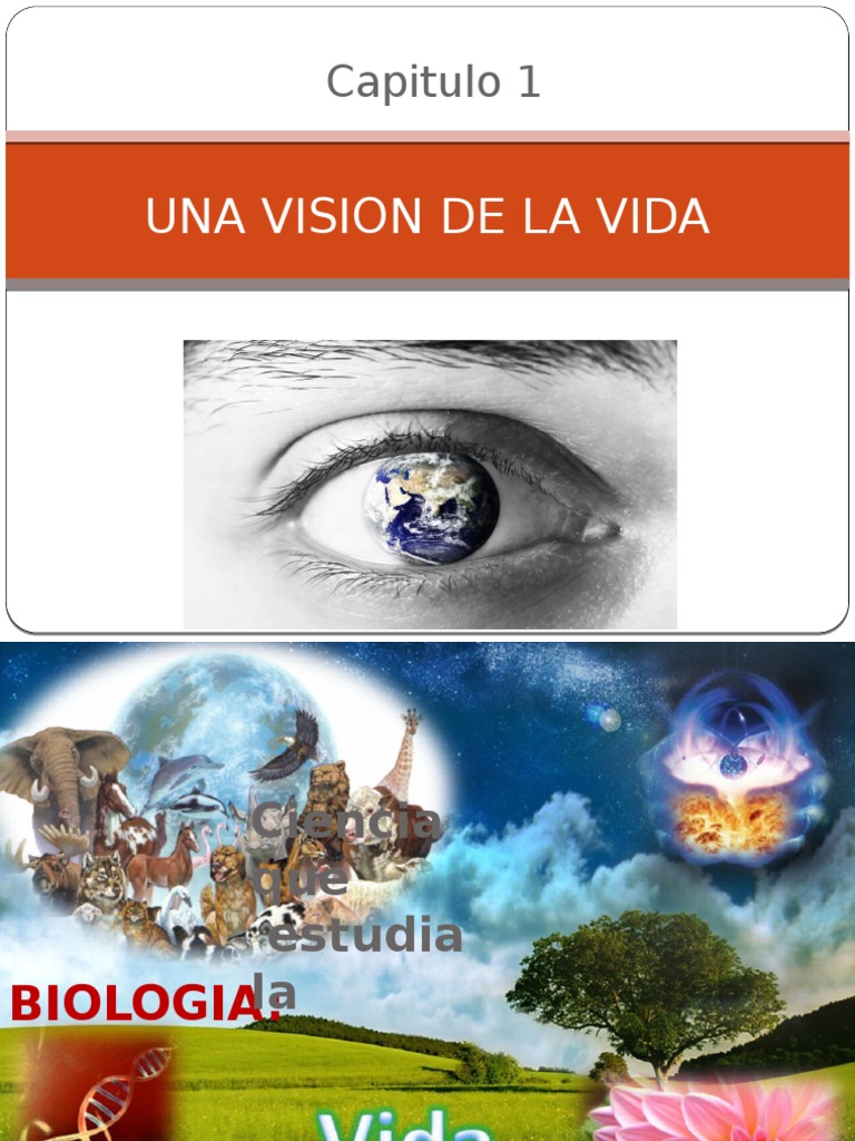 Cap 1. Una Vision de La Vida | PDF | Organismos | Vida