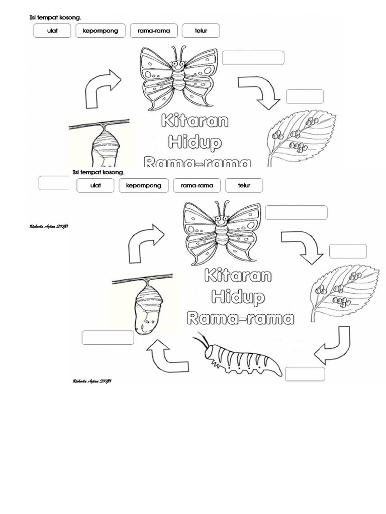 2014 Tkrs Latihan Kitaran Rama-Rama | PDF