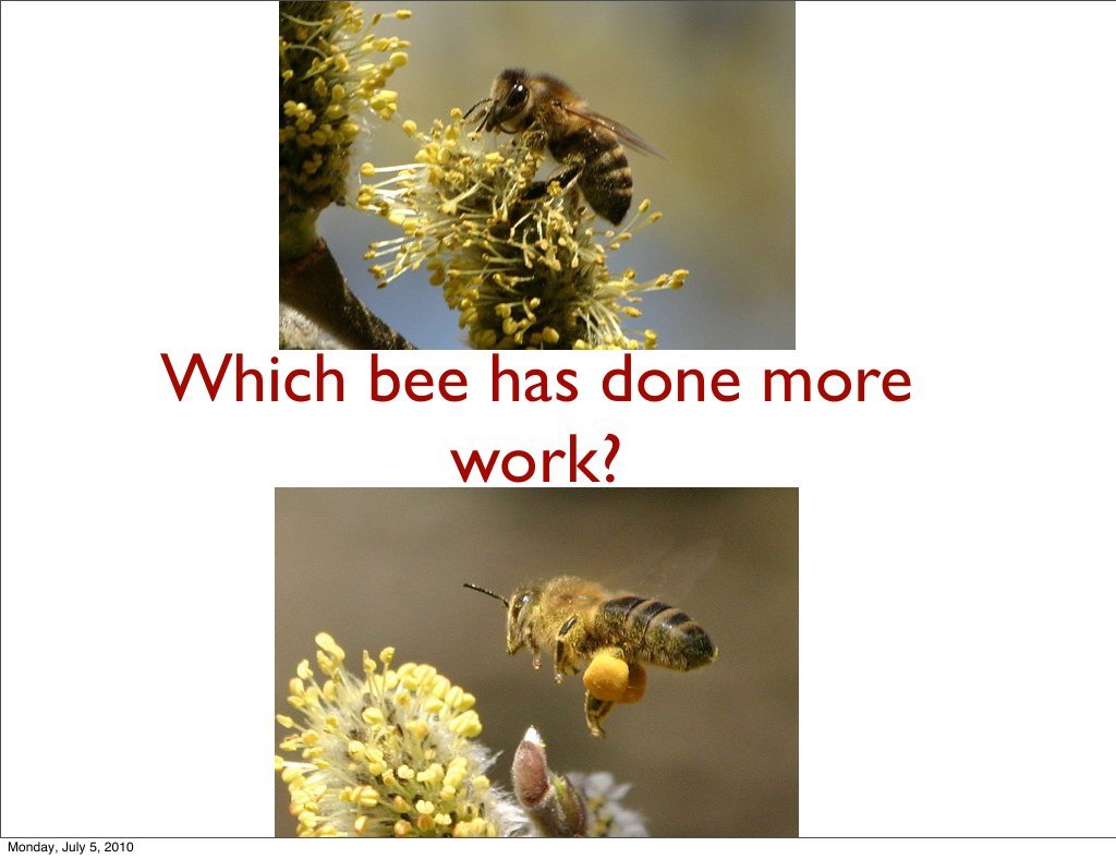 Honey Bee Presentation | PDF | Language Arts & Discipline