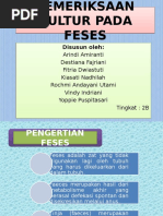Pemeriksaan Feses Lengkap dan Analisisnya | PDF