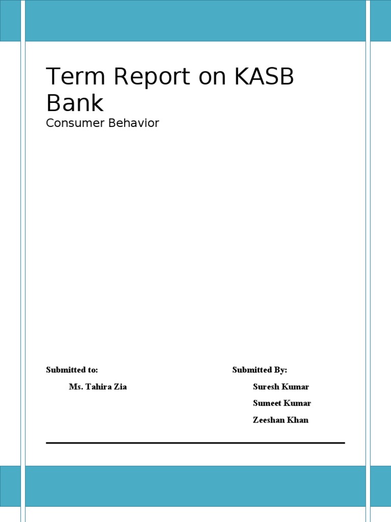 KASB Bank CB Report | PDF | Market Segmentation | Credit Card