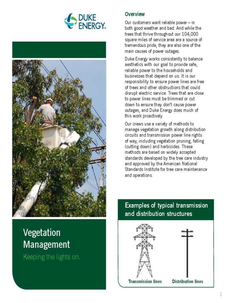 142596-Tree Trimming Communication Brochure - WEB | PDF | Pruning ...