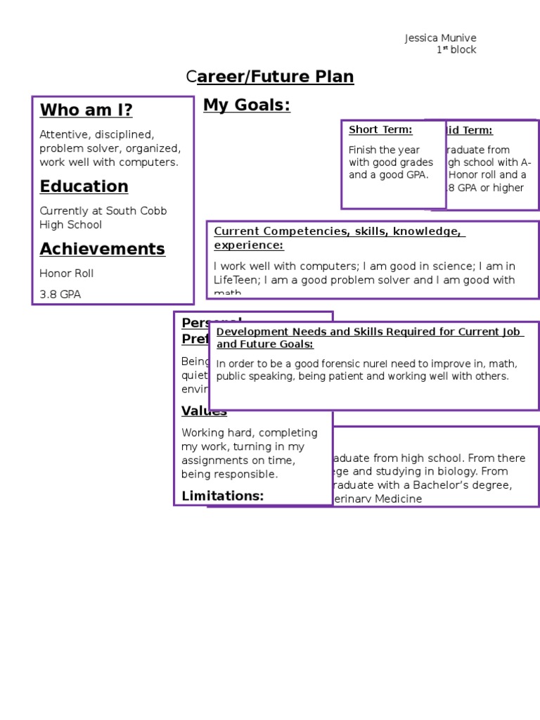 Career Plan Chart | PDF | Secondary School | Academic Degree