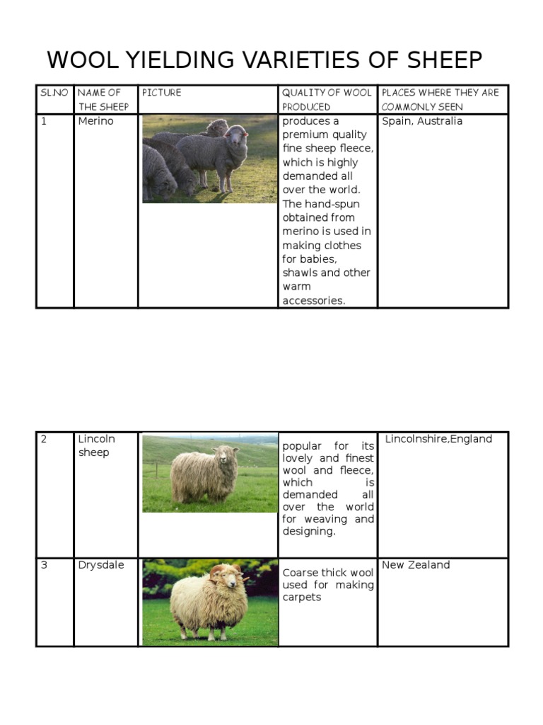 Wool Yielding Varieties of Sheep | PDF | Wool | Carpet