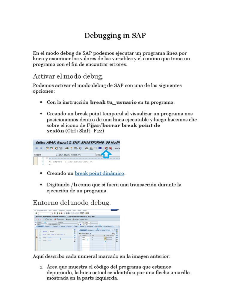 Debugging in SAP | PDF | Point and Click | Áreas de informática