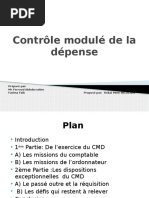 Système GID CT | PDF | Budget | Gouvernance