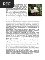 Animales Dosmesticos en Xinca | PDF | Cocina, comidas y vino