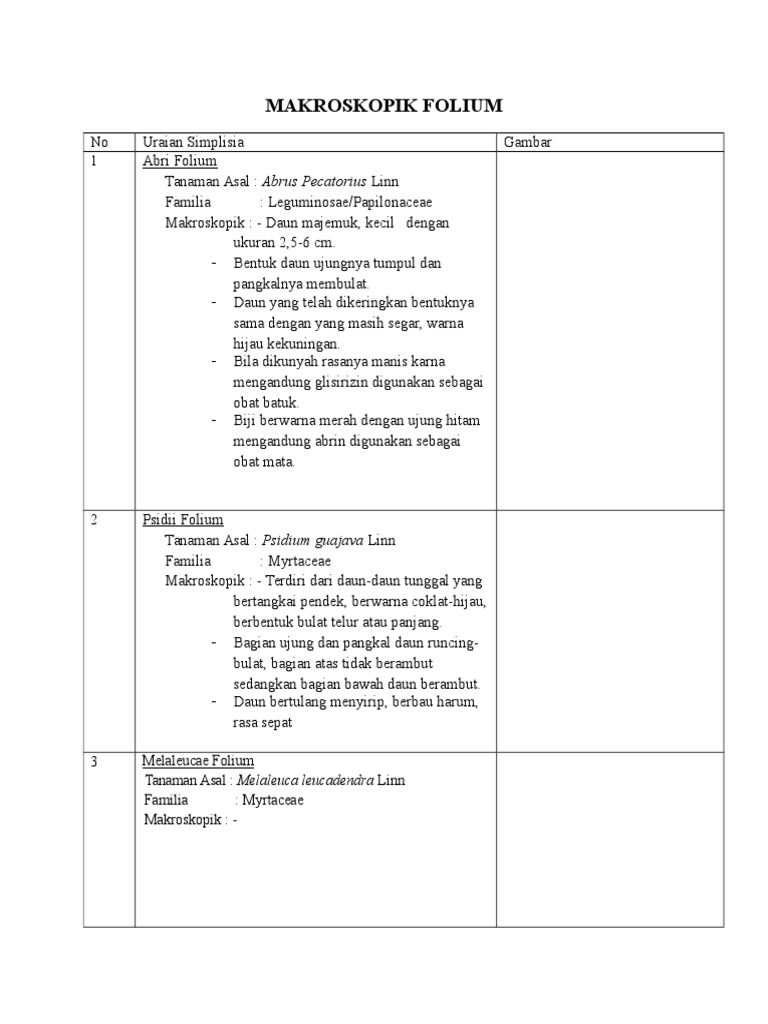Laporan Farmakognosi Makroskopik | PDF