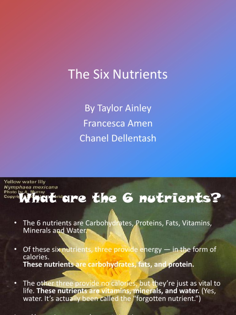 The Six Basic Nutrients | PDF | Margarine | Fat