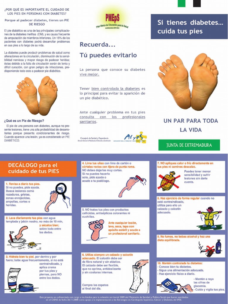 Triptico Pie Diabetico PDF | PDF Triptico Pie Diabetico PDF | PDF