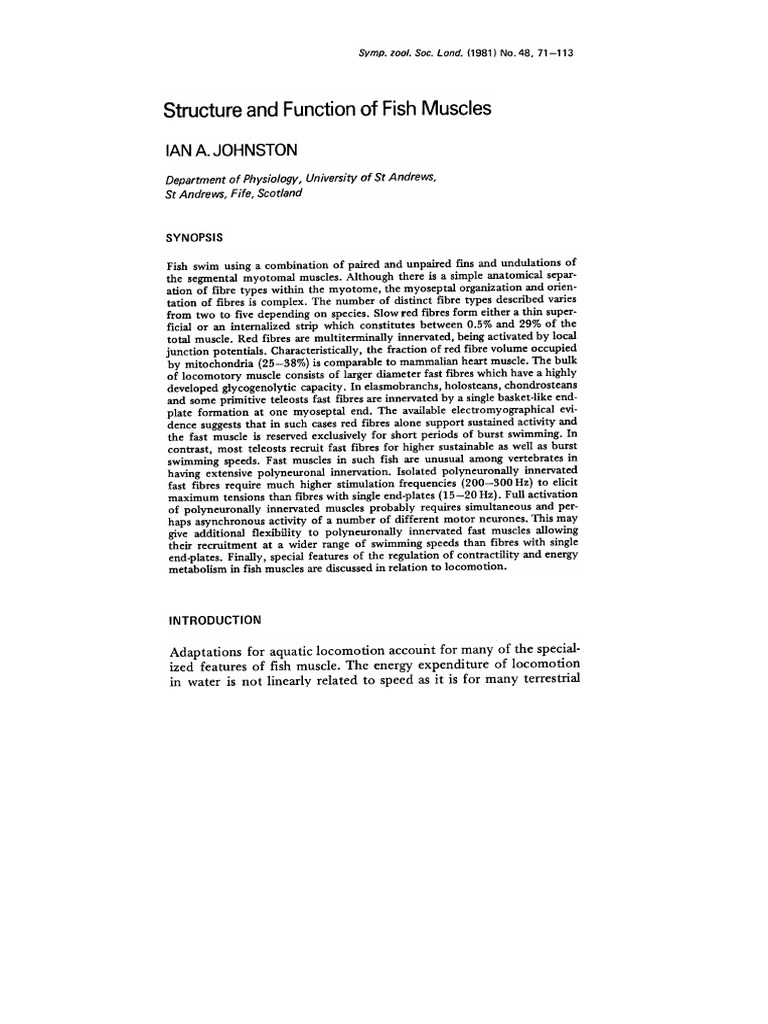 Structure and Functions of Fish Muscle | Download Free PDF | Nerve | Muscle
