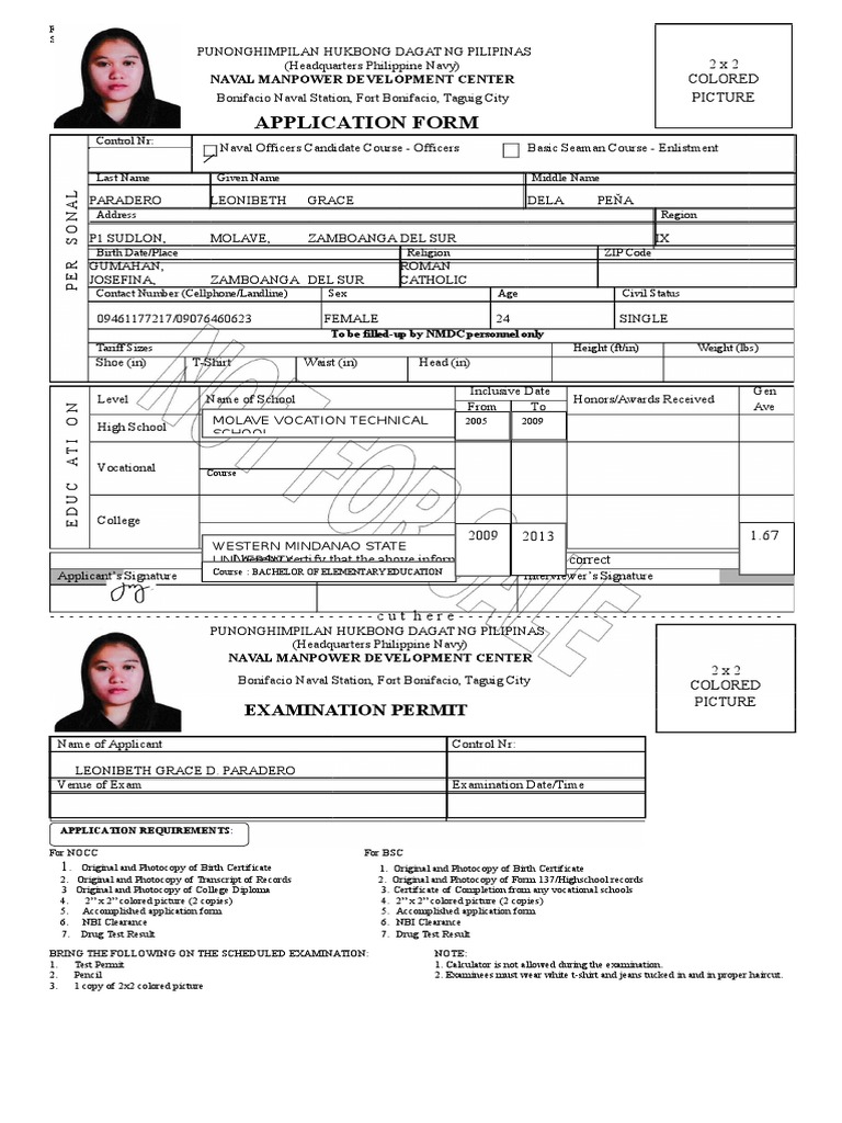 Application FORM | PDF | Test (Assessment) | Schools