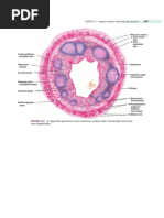 Colcachios Menu | PDF | Salad | Foods