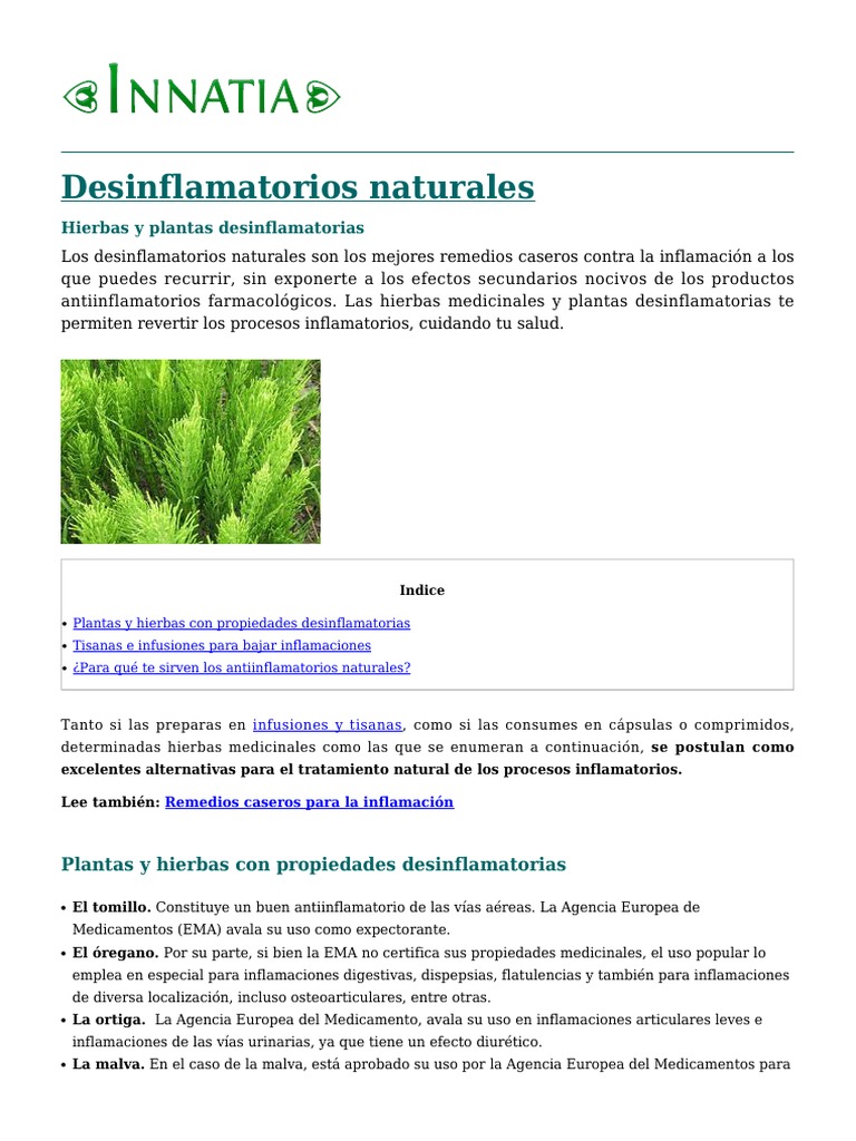 Desinflamatorios Caseros | PDF | Plantas medicinales | Antiinflamatorio