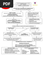 MR Sopa | PDF | Reanimación cardiopulmonar | Medicina CLINICA
