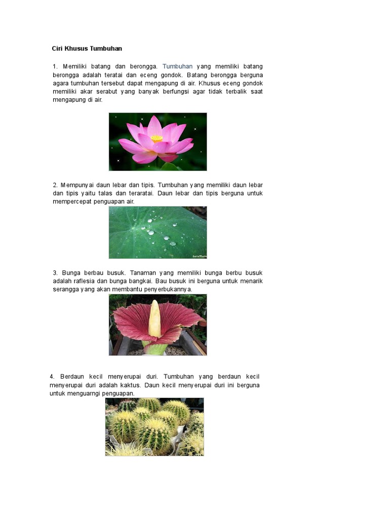 Ciri Ciri Khusus Hewan-Tumbuhan Fungsinya Dan Gambar LENGKAP | PDF