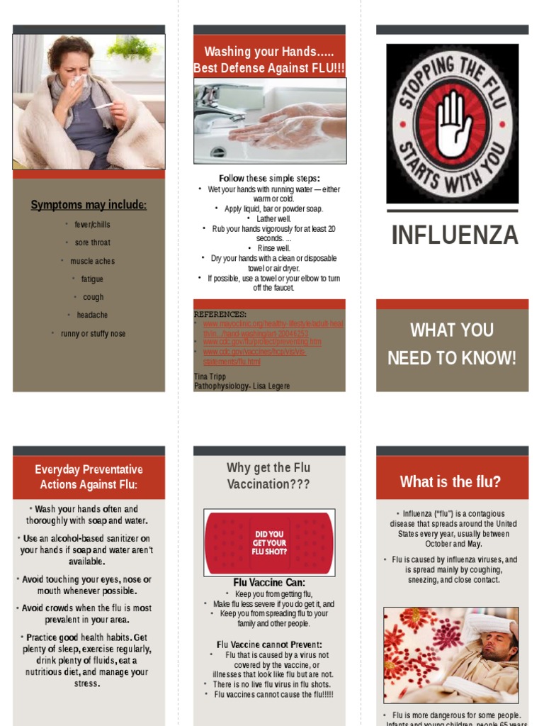 Influenza Tri Fold Brochure | PDF | Influenza | Animal Diseases