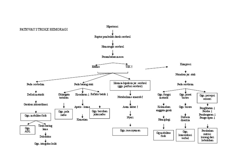 123 Pathway Stroke Hemoragik | PDF