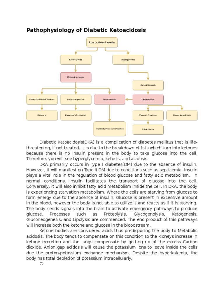 Pathophysiology of Diabetic Ketoacidosis