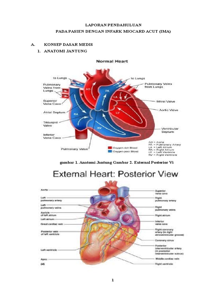 LP Ima Gadar | PDF | Pengembangan Diri | Sains & Matematika