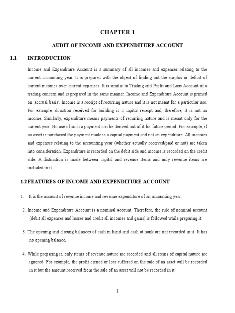 Audit of Income and Expenditure Account 1.1 | PDF