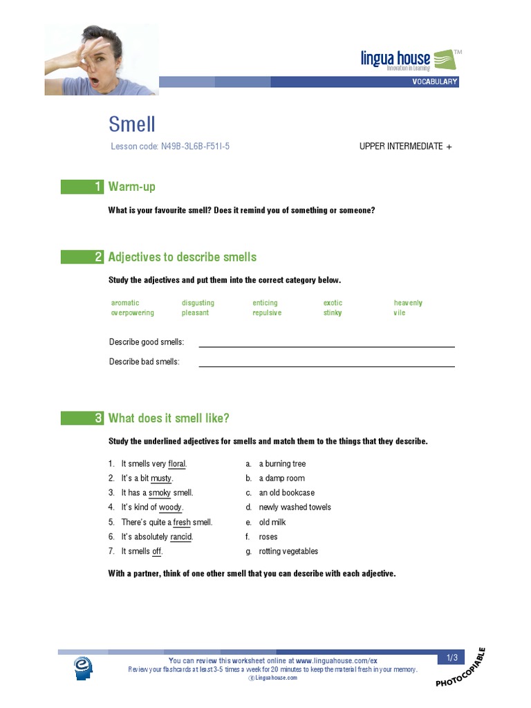 Smell - English Lesson | PDF | Odor | Syntax